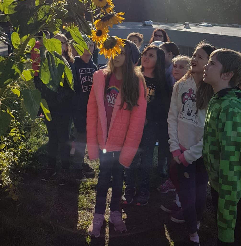 School Gardens | Sprouting Chefs