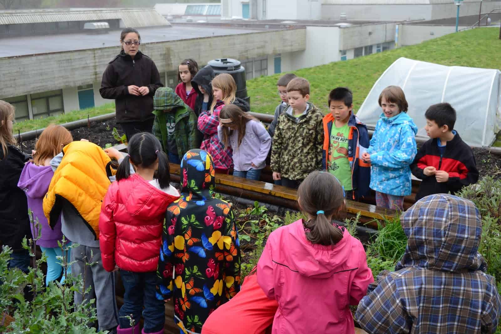 Lessons Learned – Spring Seed Classes | Sprouting Chefs