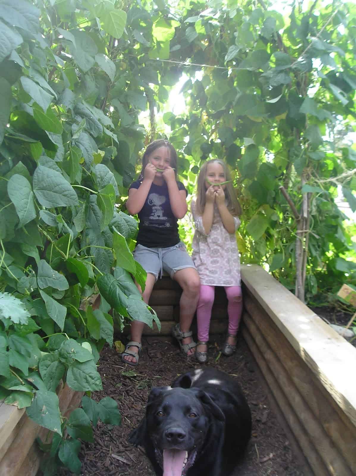 Bean Archway – How to build one with a group of students… | Sprouting Chefs
